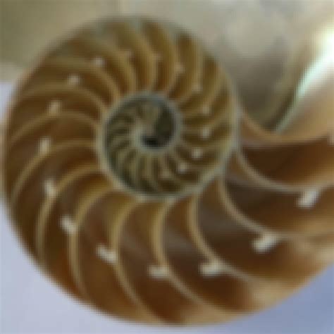 Best Multivariable Calculus Courses Online With Certificates [2024] Coursera