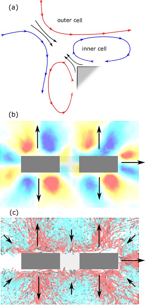 A Schematic View Of The Streaming Flow Features In The Proximity Of