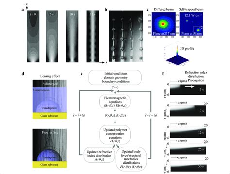 Modeling Of Self Trapped Beam Propagation In A Photopolymer A Download Scientific Diagram