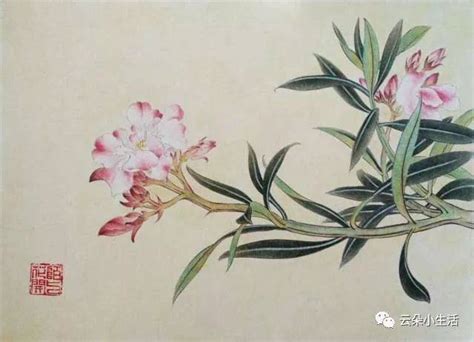 圆珠笔画叶子 圆珠笔简笔画 叶子简笔画 大山谷图库