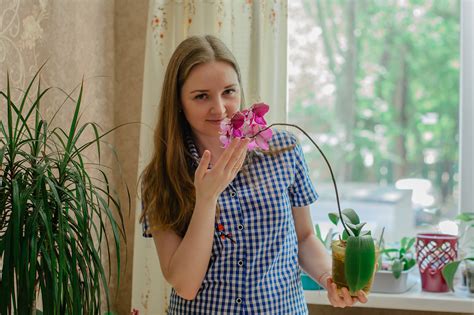 Орхидеи в Ростове на Дону Орхидеи в Ростове на Дону