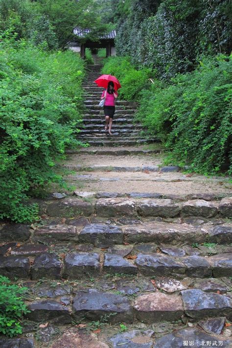 祈り三景 奈良大和路 6北野武男