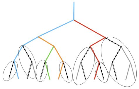 Fig S3 Sketch Of The Algorithm Used For The Exact Solution Of The Download Scientific Diagram