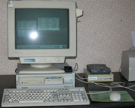 Chriss Acorns Acorn Risc Pc 600