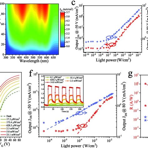 Design Of A Vertical Field Effect Transistor Vfet With Nanomesh
