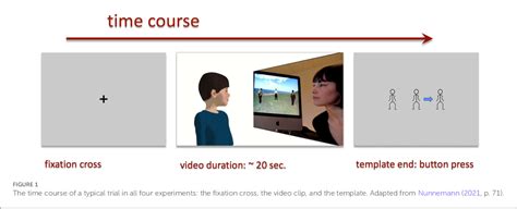 Table 1 From The Effects Of Referential Gaze In Spoken Language Comprehension Human Speaker Vs