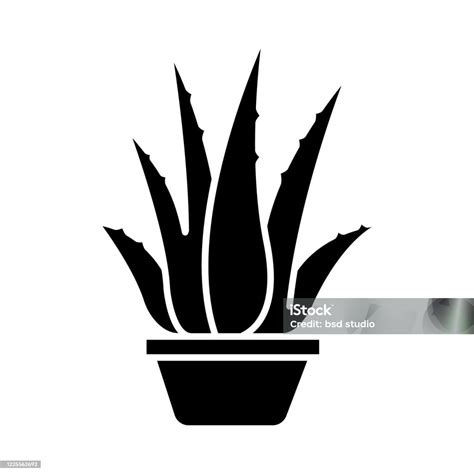 하우스 플랜트 블랙 글리프 아이콘입니다 화분에 심은 알로에 베라 선인장 새싹과 즙이 많은 잎 약초 장식 식물 재배 흰색 공간에 실루엣 기호입니다 벡터 절연 그림 0명에 대한