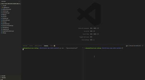 eshan gupta on linkedin redis golang curiouscoding persistence