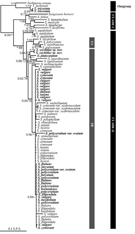 Bayesian Topology Based On Combined Coi 5prbcls Its 2 Sequences Data