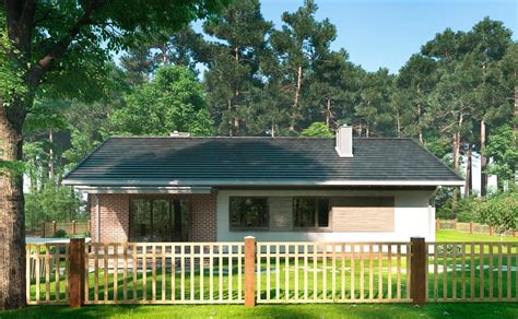 Проекты одноэтажных домов с гаражом