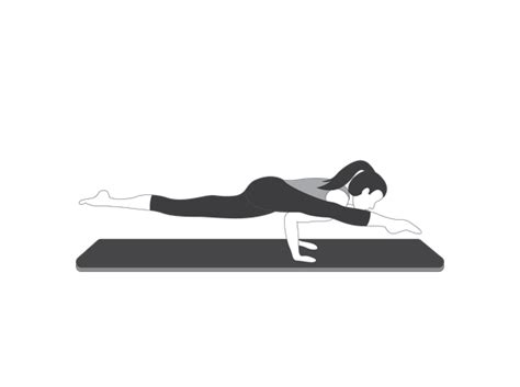 225 Split In Half Illustrations Free In SVG PNG EPS IconScout