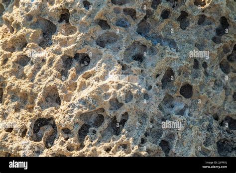 Background Texture Of Limestone Stone Surface Shell Limestone Close Up