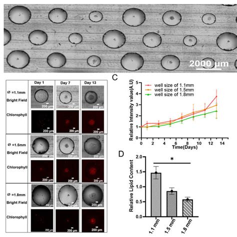 Pdf An Easily Accessible Microfluidic Chip For High Throughput Microalgae Screening For