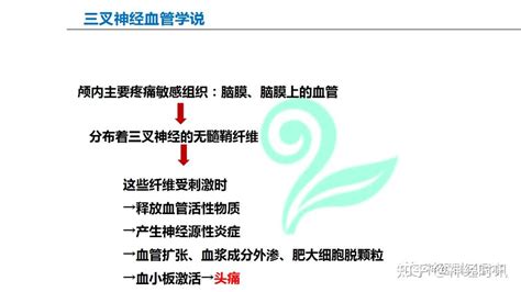 偏头痛发病机制 本课件详细讲解 知乎