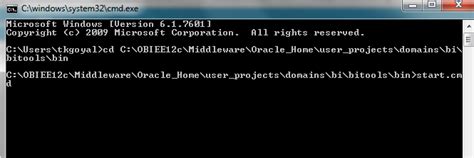 Start And Stop OBIEE Services In OBIEE 12c Oracle Business Intelligence And Analytics
