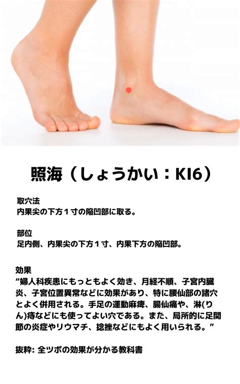 照海 しょうかい オンラインはりきゅう院るーつ