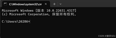 windows系统下有关webots安装与配置相关问题的解决方法 webots windows csdn博客