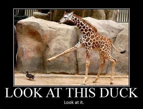 Funny Stuff Image Humor Satire Parody ModDB