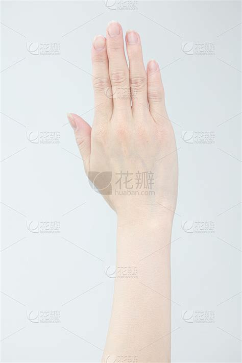 女人的手。图像的姿态。