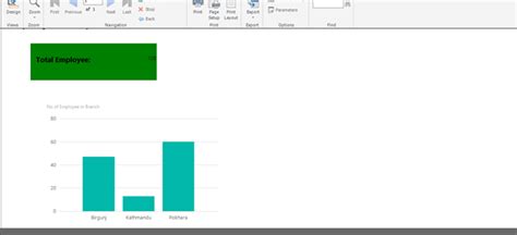 Build Ssrs Rdl Report With Bar Graph And Pie Chart From Microsoft Report Builder Part 2