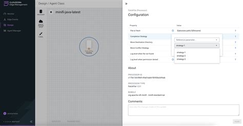 Using Parameters In Cloudera Edge Management