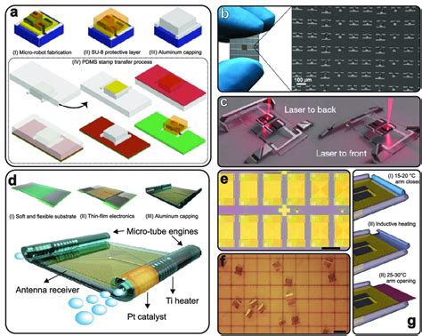 Untethered Microscale Download Scientific Diagram
