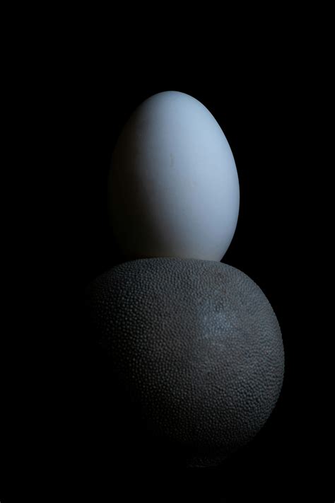 Two White Spherical Objects Photo Free Egg Image On Unsplash