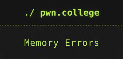 Memory Errors Module 8 S0merset7s Blog