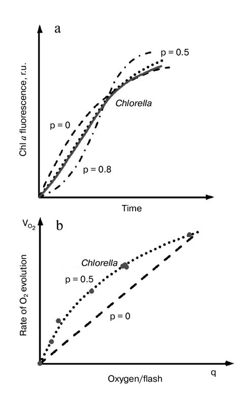 Evaluation Of The Connectivity Parameter P In A Cell Suspension Of A Download Scientific