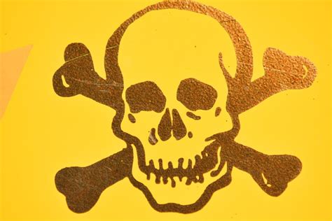 무료 사진 해골 일러스트 레이 션 예술 기호 레트로 모양 디자인 스케치 벡터 실루엣