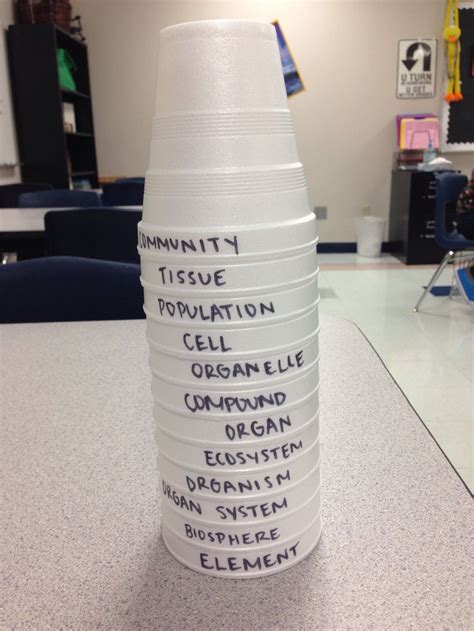 Levels Of Classification Smallest To Largest At Larry Webb Blog
