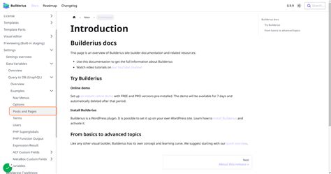 Create A Paginated Custom Post Query In Builderius Builderius