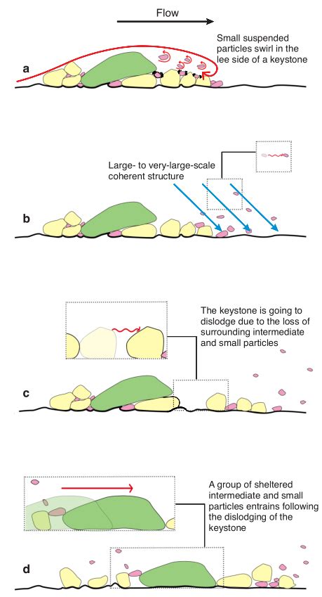 Interplay Of Turbulent Flow And Various Sized Particles In Sediment