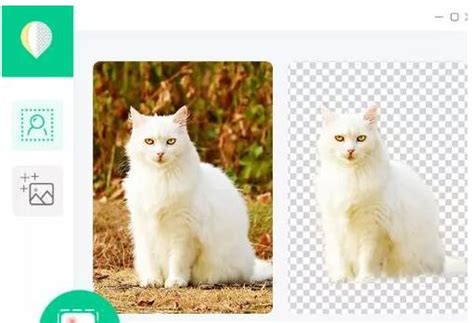 实用软件《傲软抠图》一键去背景工具推荐 发现者资源网