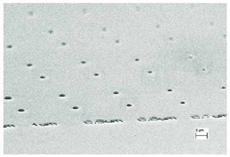 Array Of Structures For Testing The Process Of Fabrication Download Scientific Diagram