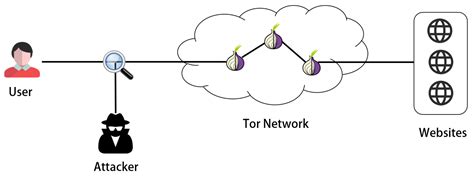 A Practical Website Fingerprinting Attack Via Cnn Based Transfer Learning