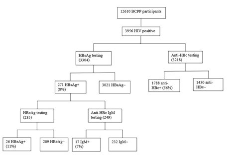 Hbv Markers Screening Algorithm Download Scientific Diagram