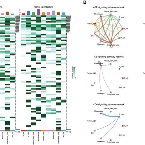 Interaction Plot Of Tumor Cells And Intercellular Communication Download Scientific Diagram