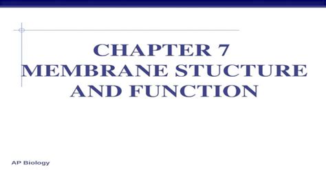 Ppt Chapter 7 Membrane Stucture And Function Dokumentips