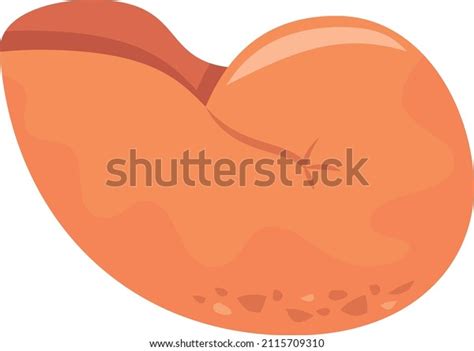 Cartoon Vector Illustration Cute Seashell Stock Vector Royalty Free