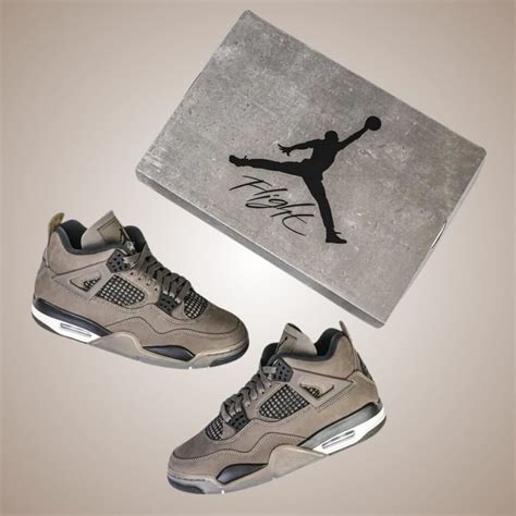 Air Jordan 4 Cave Stone Fv5029 200 Sneakerfiles