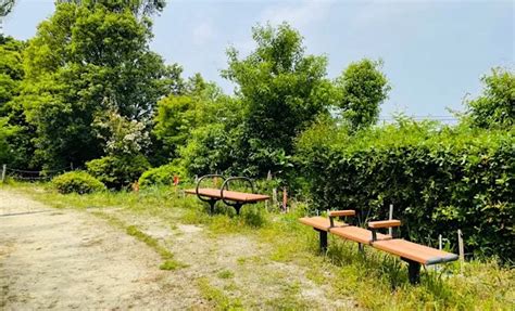 観音山公園 枚方子育て通信Haru