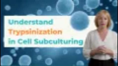 Understanding Trypsinization In Cell Subculturing Youtube