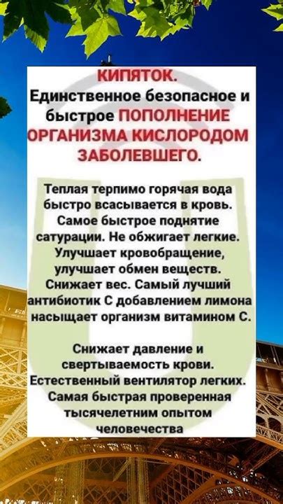 ЭТО ПРОСТО ШОК Youtube