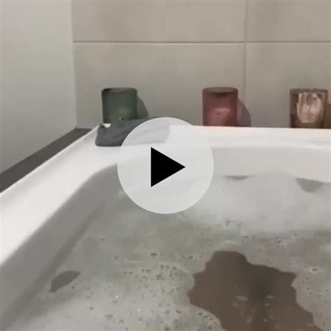 목욕하는 주인이 신기한 댕댕이  유머 움짤 이슈 에펨코리아