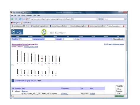 Genomic Databases Pptx