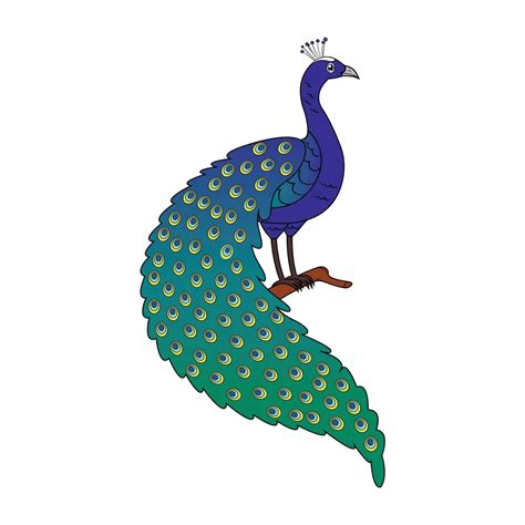 How To Draw A Peacock Step By Step