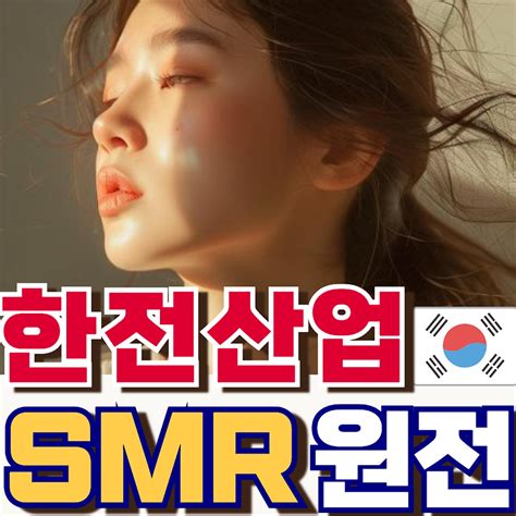 Smr 원전 관련주 한전산업 기업 주가 분석 Top