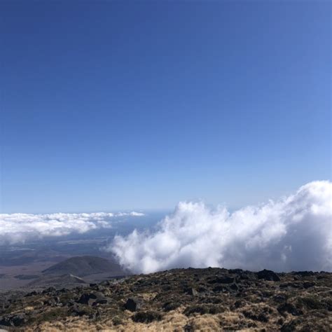 [제주여행] 3박 4일 여행 2일차 한라산 등반 후 몸살 리젠트마린 호텔 프레드피자 제주점 네이버 블로그