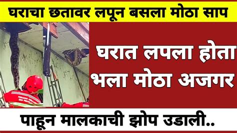 घराचा छतावर होता भला मोठा अजगर मालकाची उडाली झोप Bm Marathi News
